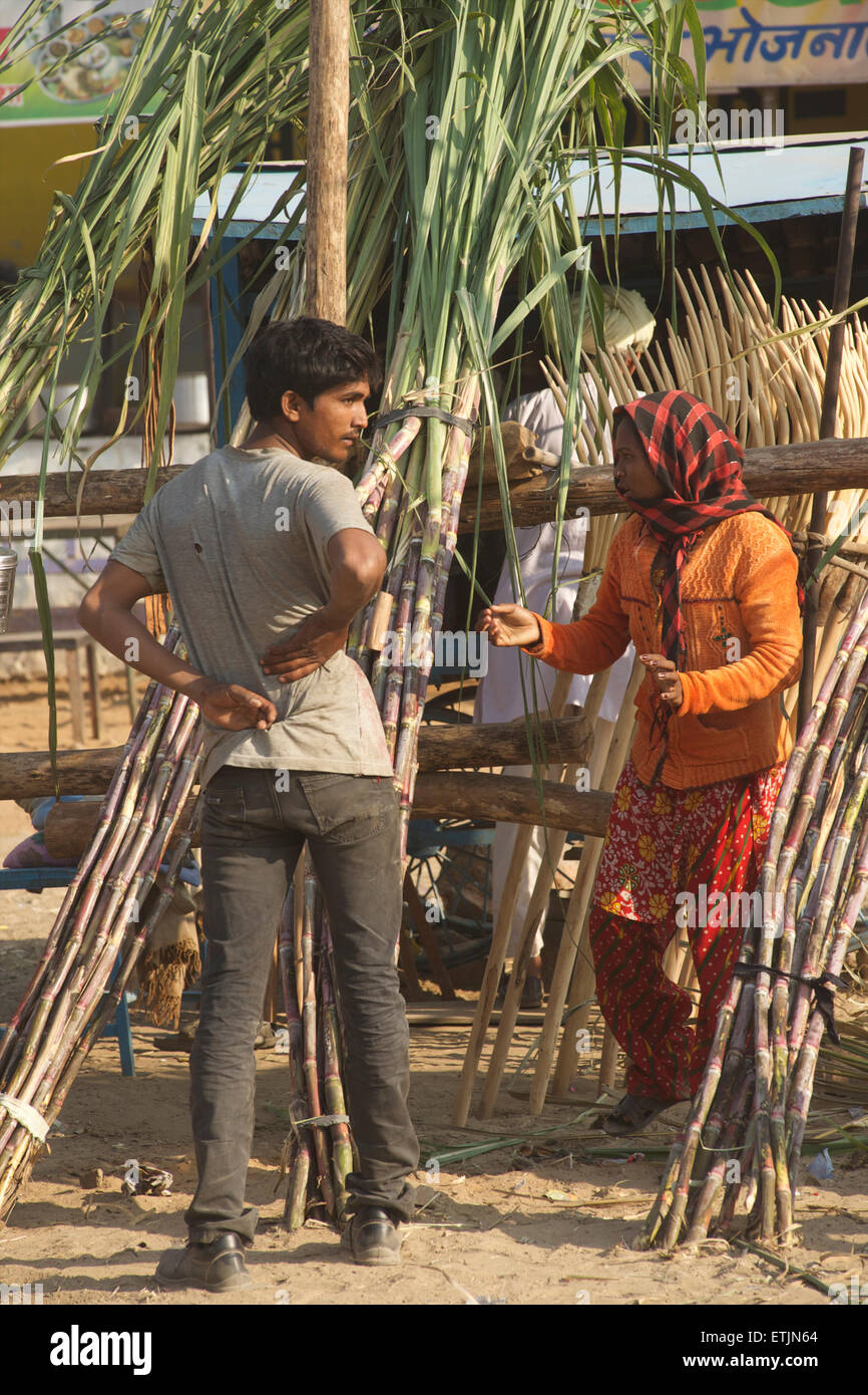 Sugar cane sellers, Pushkar market, Rajasthan, India Stock Photo - Alamy