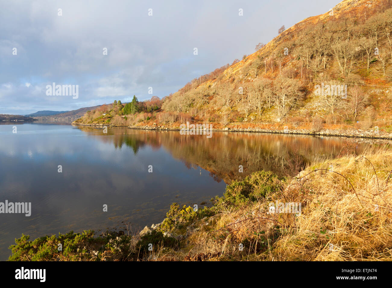 Loch Etive at Bonawe Stock Photo - Alamy