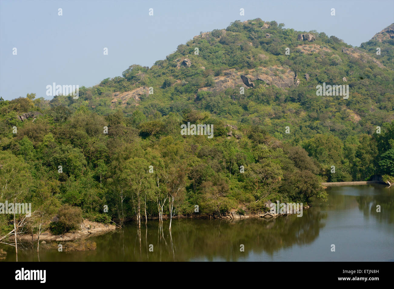 Roadside lake near Mount Abu, Rajasthan, India Stock Photo - Alamy
