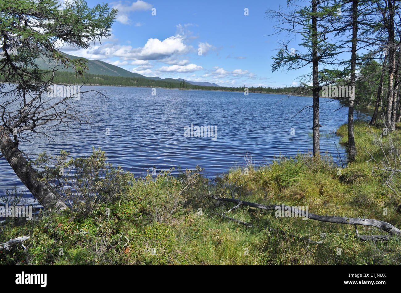 Water summer landscape surrounding the river Suntar in the Highlands of ...