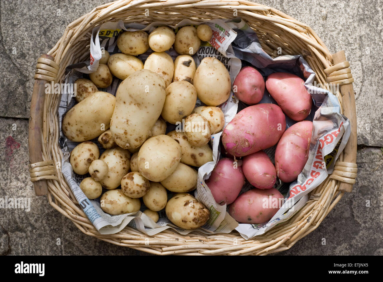 Prepared white potatoes hi-res stock photography and images - Alamy