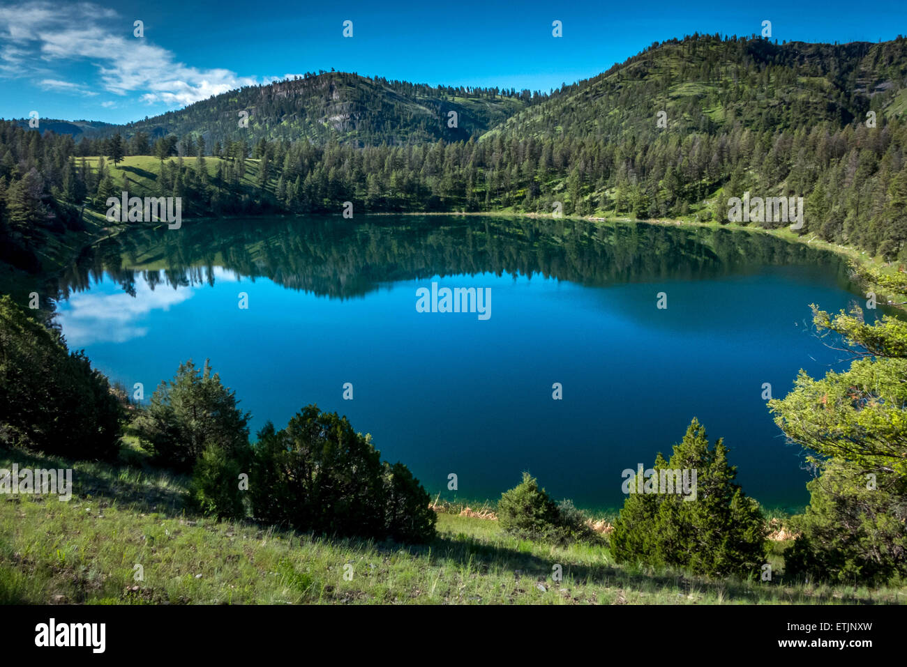 Hidden lake off the beaten track inside the Yellowstone National Park ...