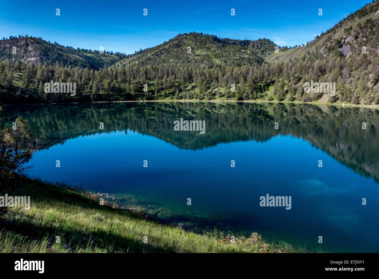 Hidden lake off the beaten track inside the Yellowstone National Park ...