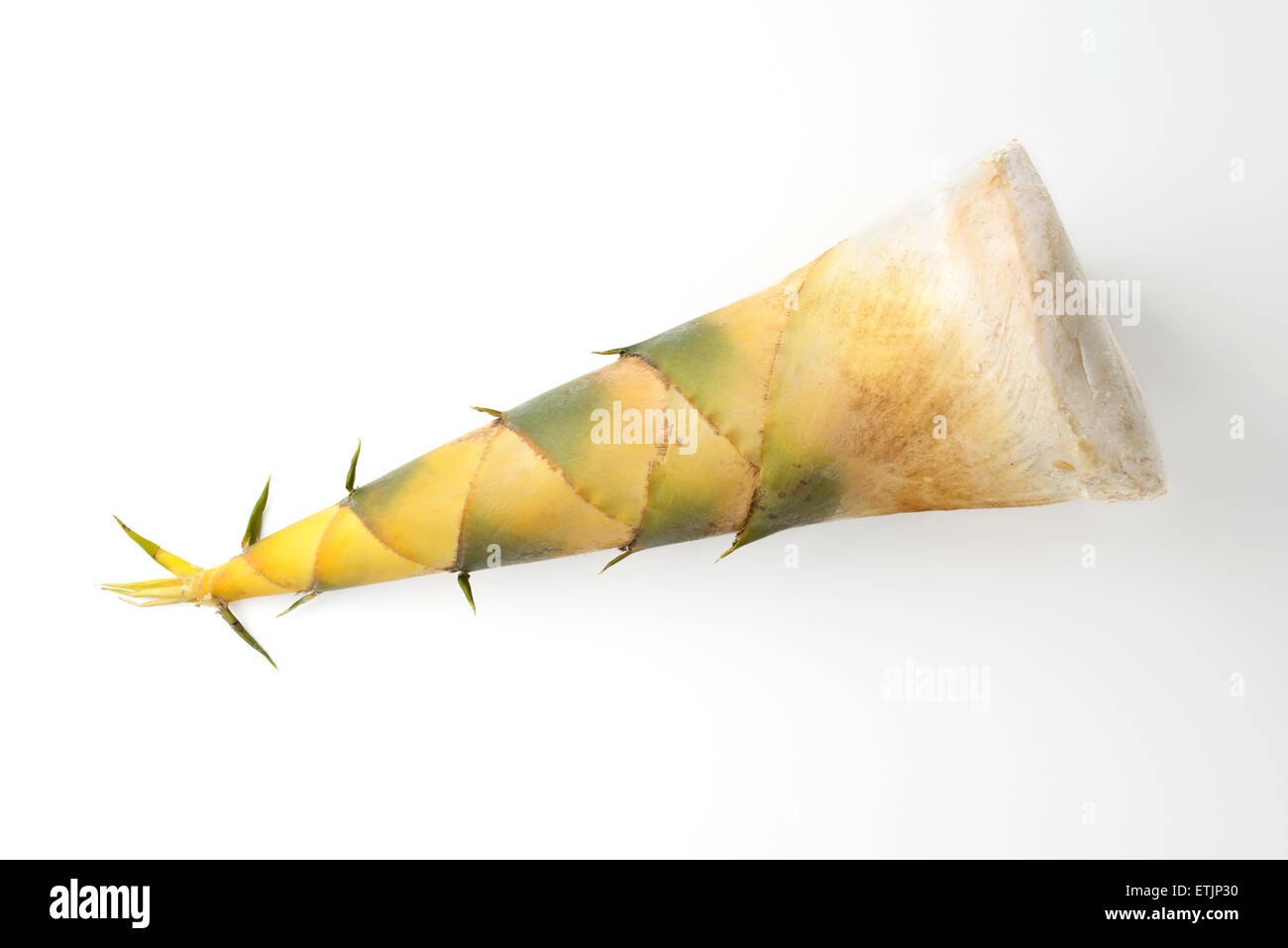 fresh bamboo shoots isolated on white Stock Photo - Alamy