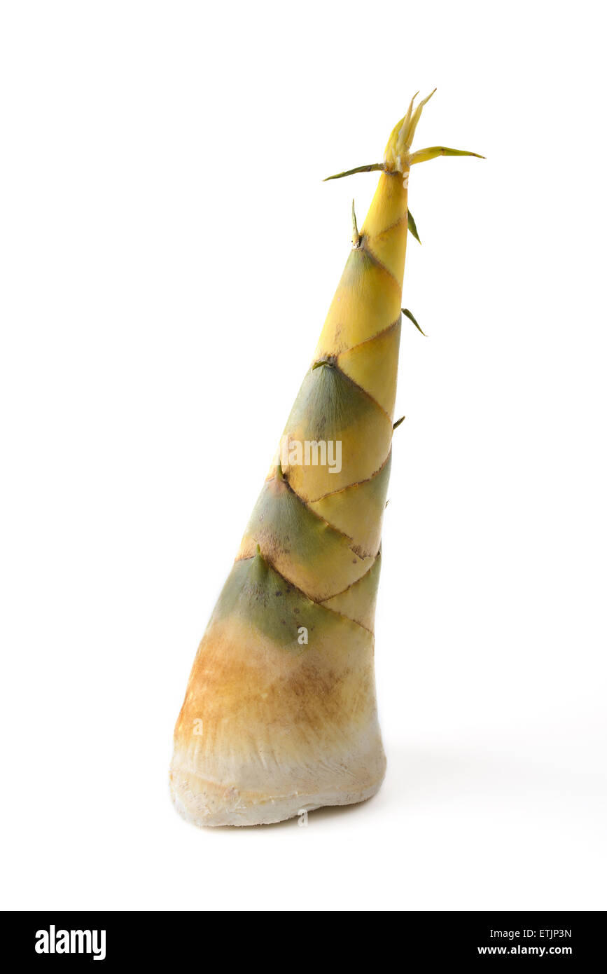 Bamboo shoot Cut Out Stock Images & Pictures - Alamy