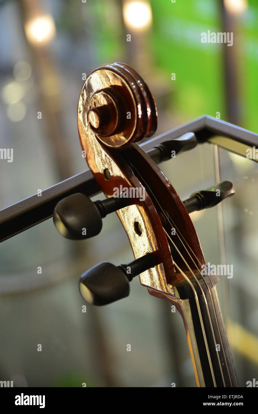violin close up Stock Photo - Alamy