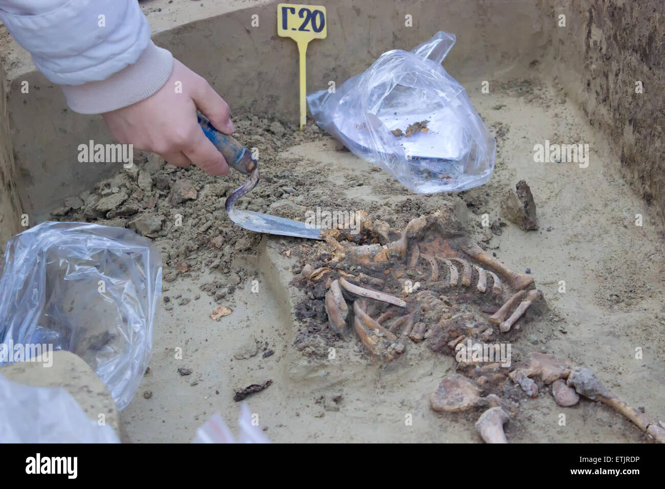 Archaeological excavations skeleton hi-res stock photography and images ...