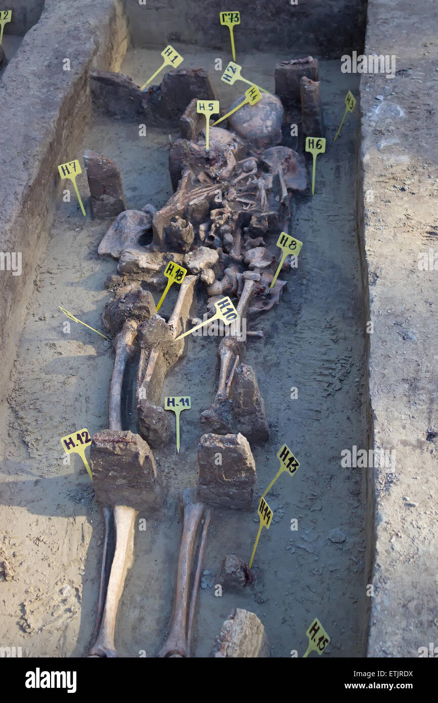 Soil skeleton hi-res stock photography and images - Alamy