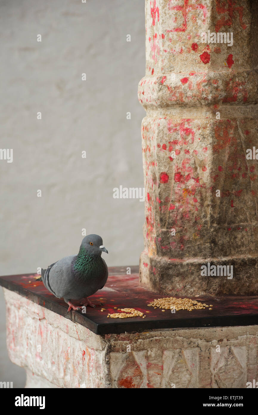 Jagannath rai temple hi-res stock photography and images - Alamy