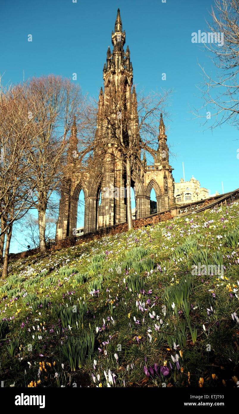 Spring flowers are starting to bloom in Princes Street Gardens in ...