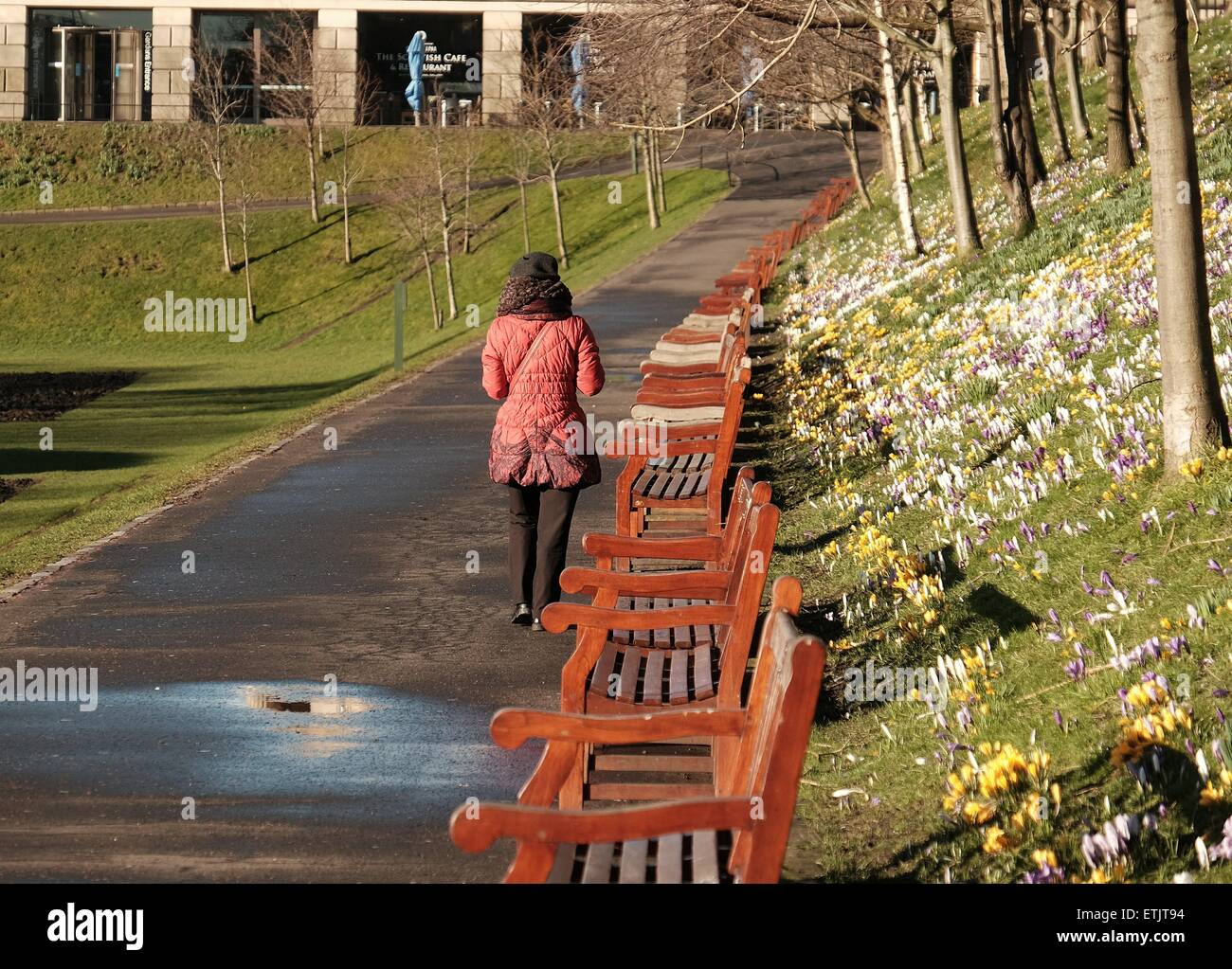 Spring flowers are starting to bloom in Princes Street Gardens in ...