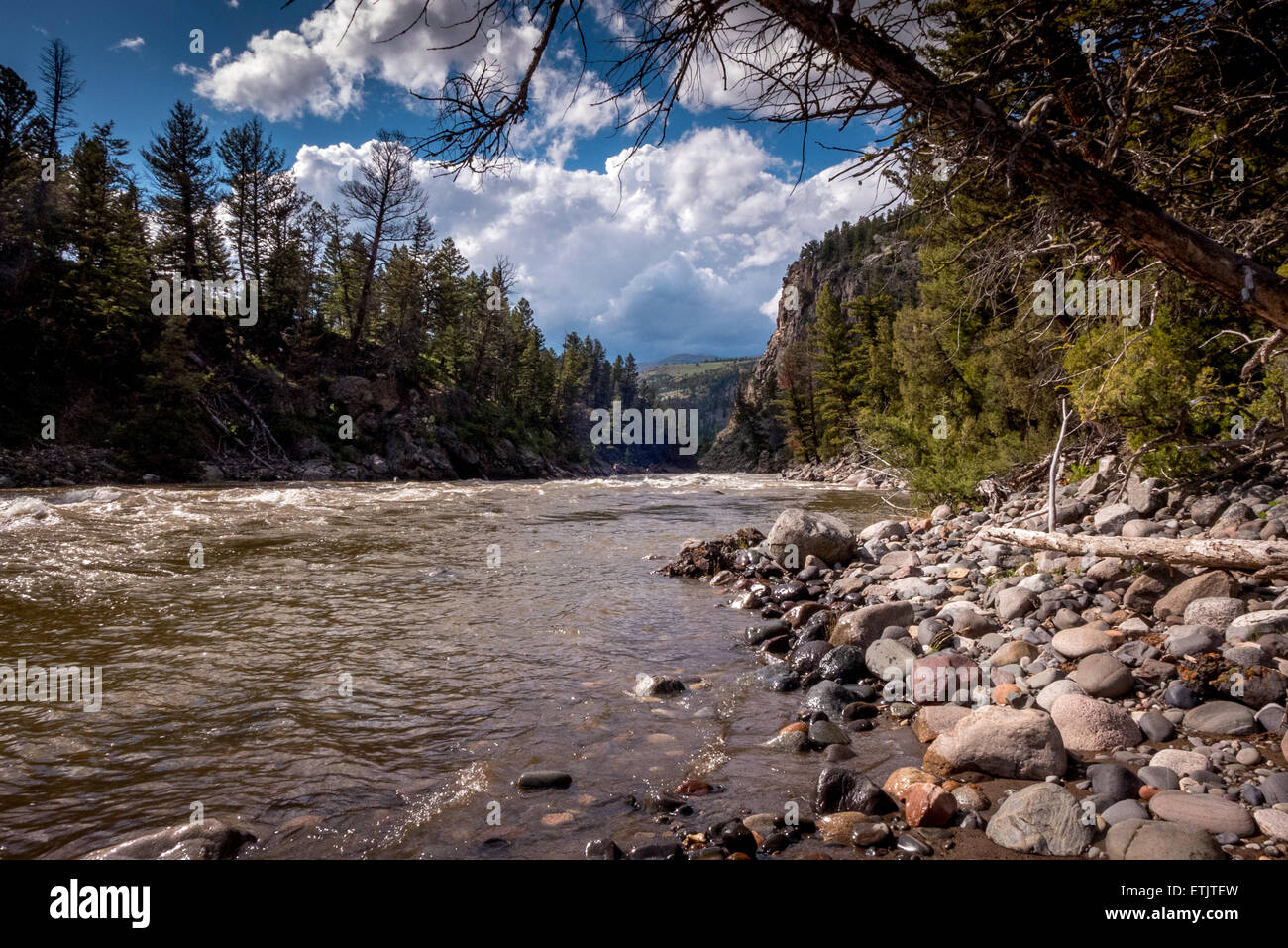 The Yellowstone River in Yellowstone National Park Montana USA Stock ...