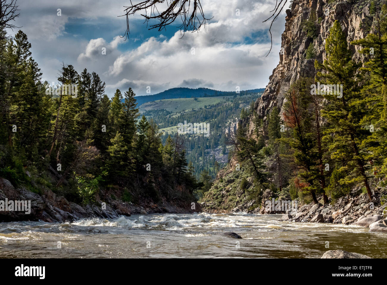 The Yellowstone River in Yellowstone National Park Montana USA Stock ...