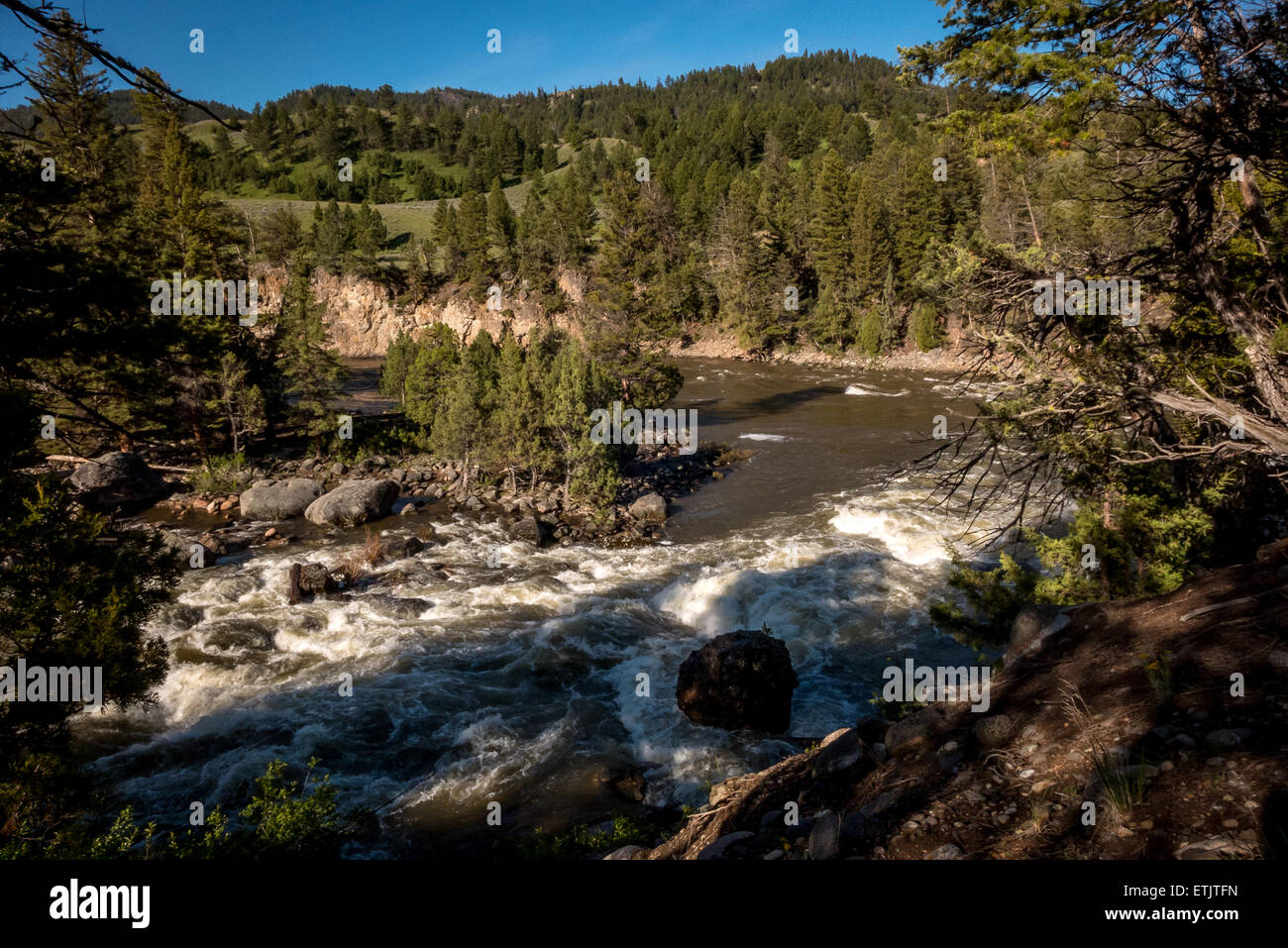 The Yellowstone River in Yellowstone National Park Montana USA Stock ...