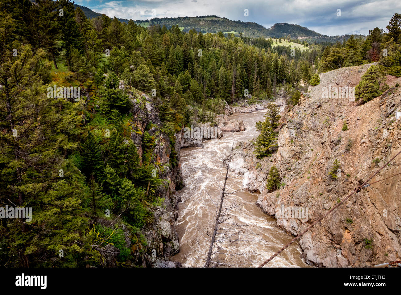 The Yellowstone River in Yellowstone National Park Montana USA Stock ...