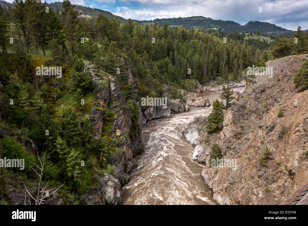 The Yellowstone River in Yellowstone National Park Montana USA Stock ...