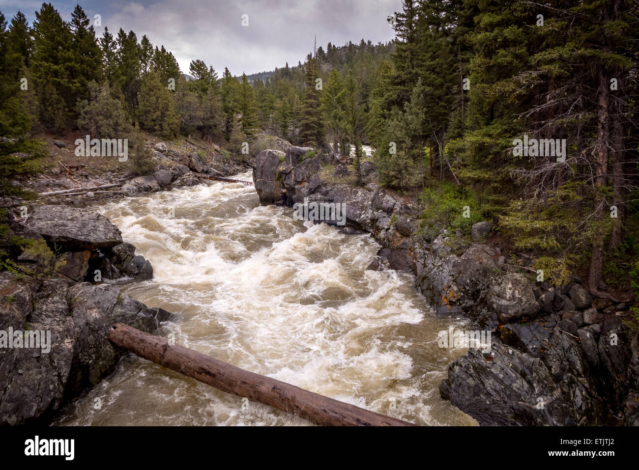 The Yellowstone River in Yellowstone National Park Montana USA Stock ...