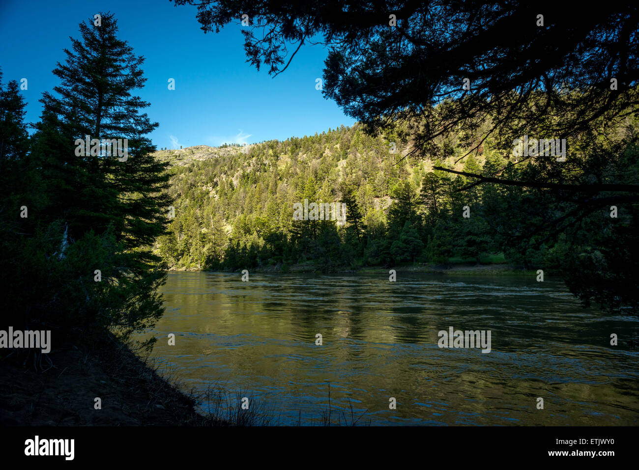 The Yellowstone River in Yellowstone National Park Montana USA Stock ...