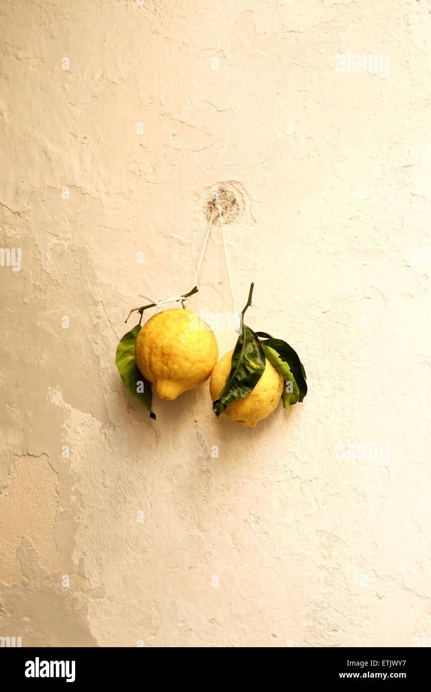 Two lemons hanging on a wall on Amalfi, Italy Stock Photo - Alamy