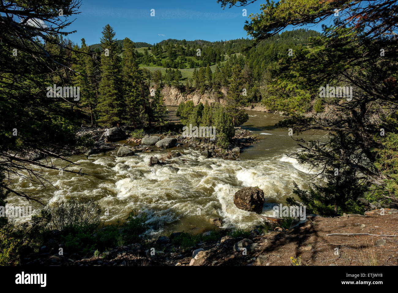 The Yellowstone River in Yellowstone National Park Montana USA Stock ...