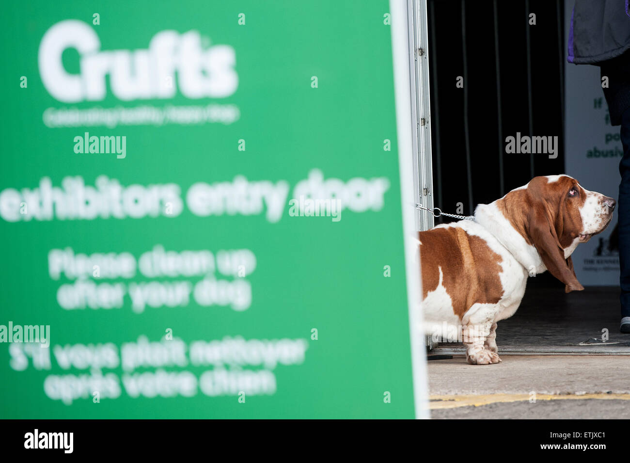 Crufts 2015 international dog show opening day held at the NEC ...