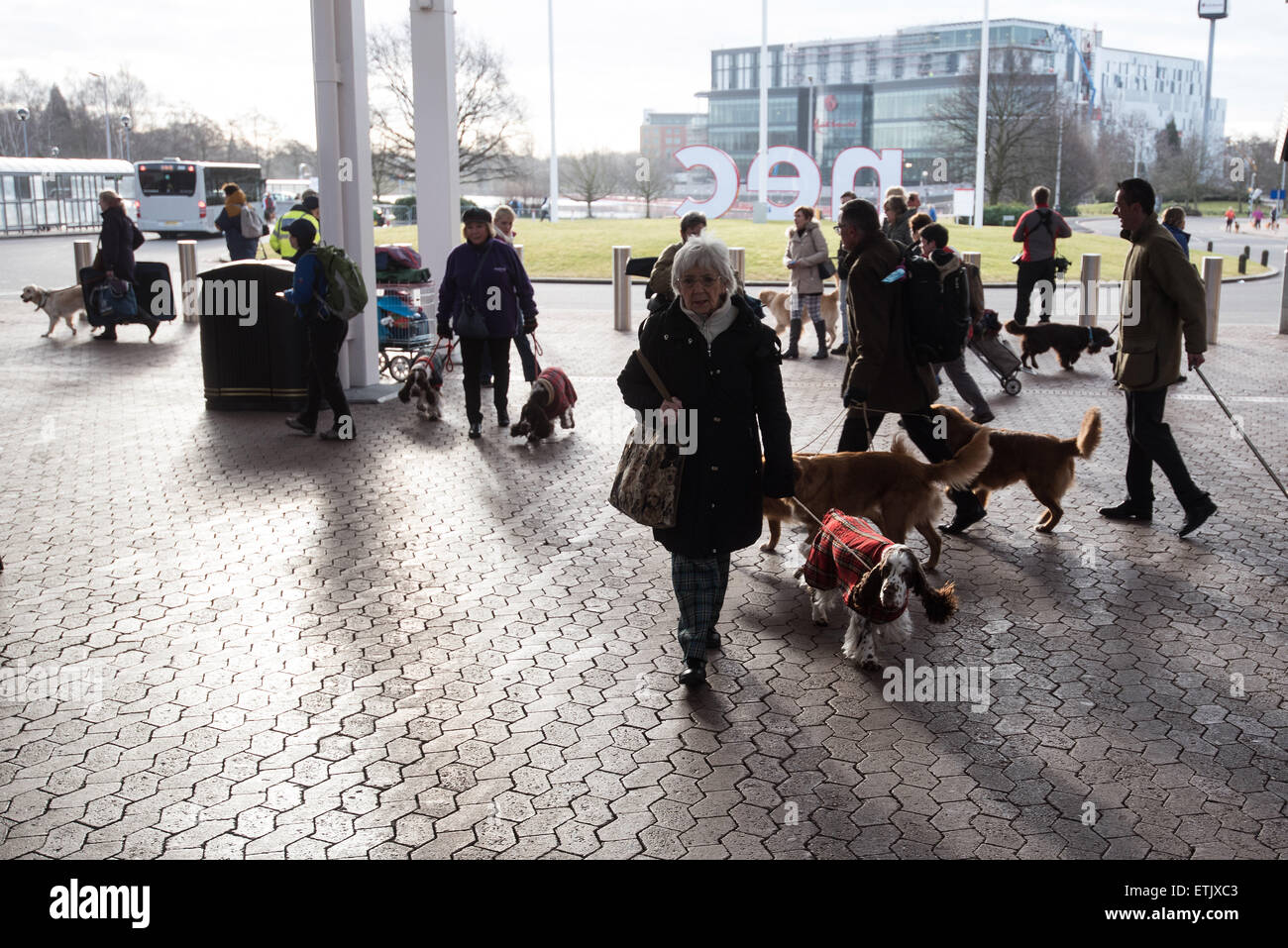 Crufts 2015 international dog show opening day held at the NEC ...