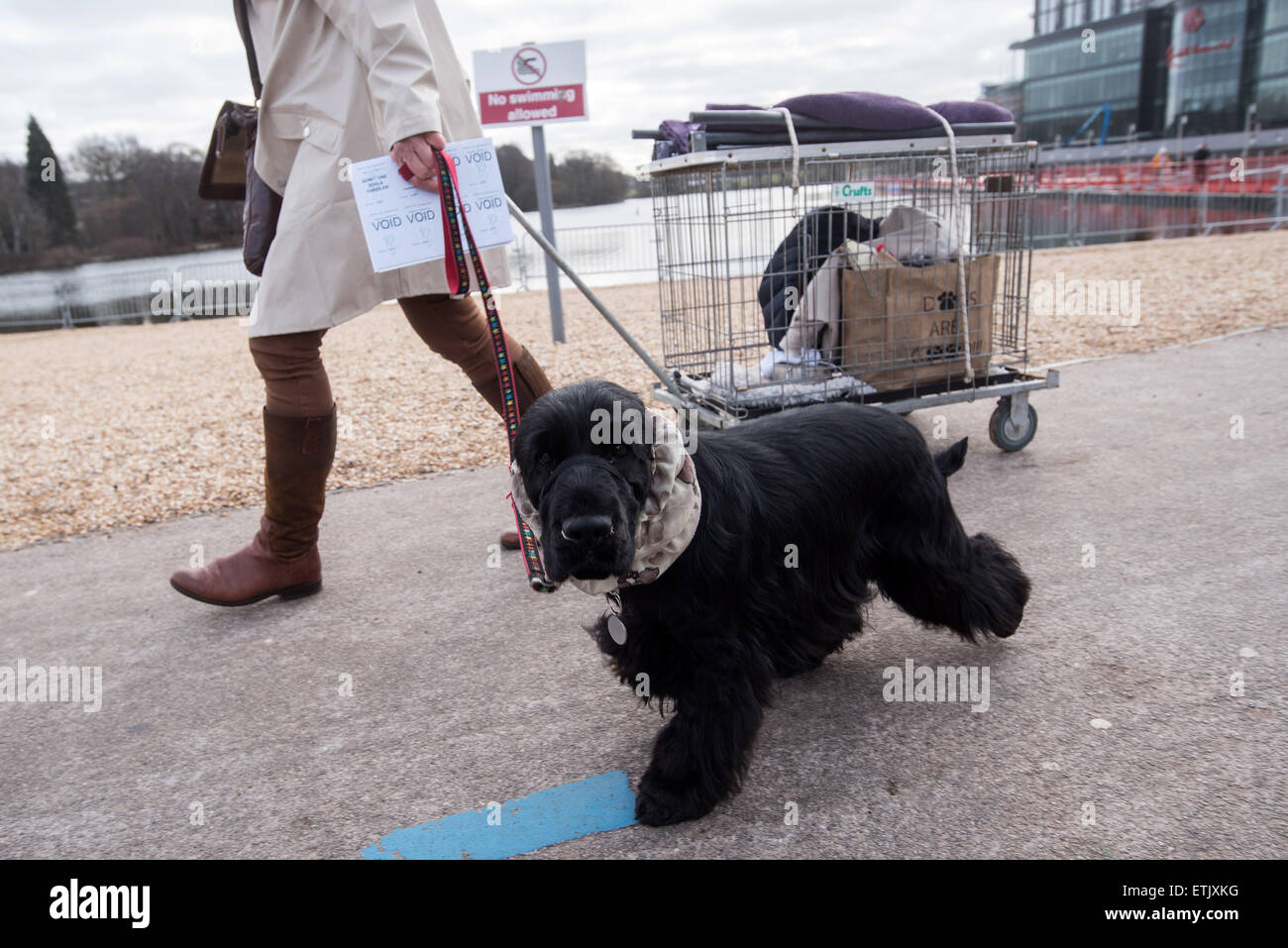 Crufts 2015 international dog show opening day held at the NEC ...