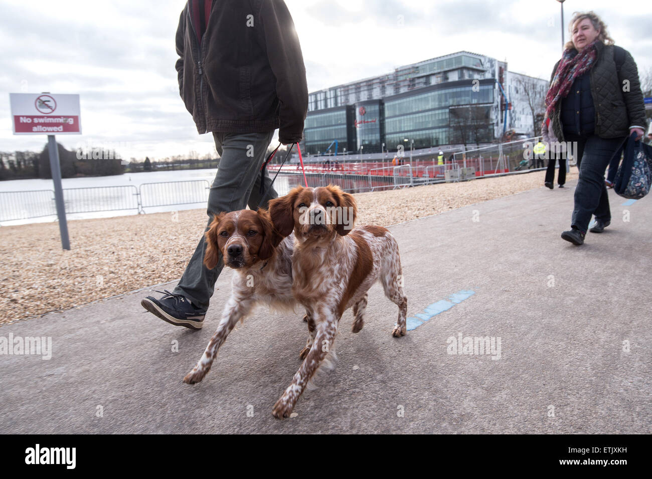 Crufts 2015 international dog show opening day held at the NEC ...