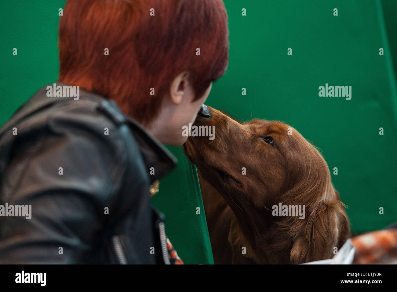 Crufts 2015 international dog show opening day held at the NEC ...