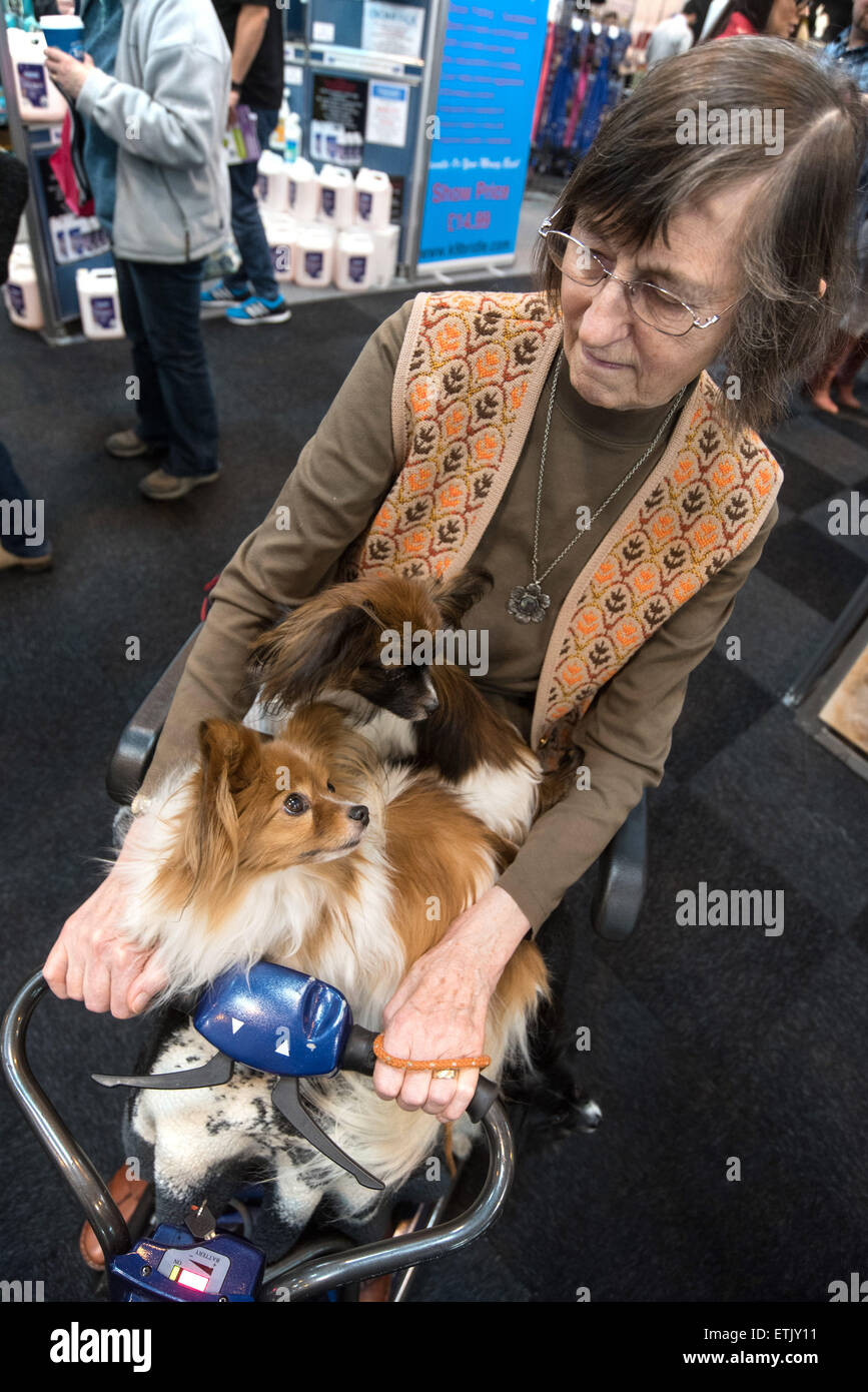 Crufts 2015 international dog show opening day held at the NEC ...