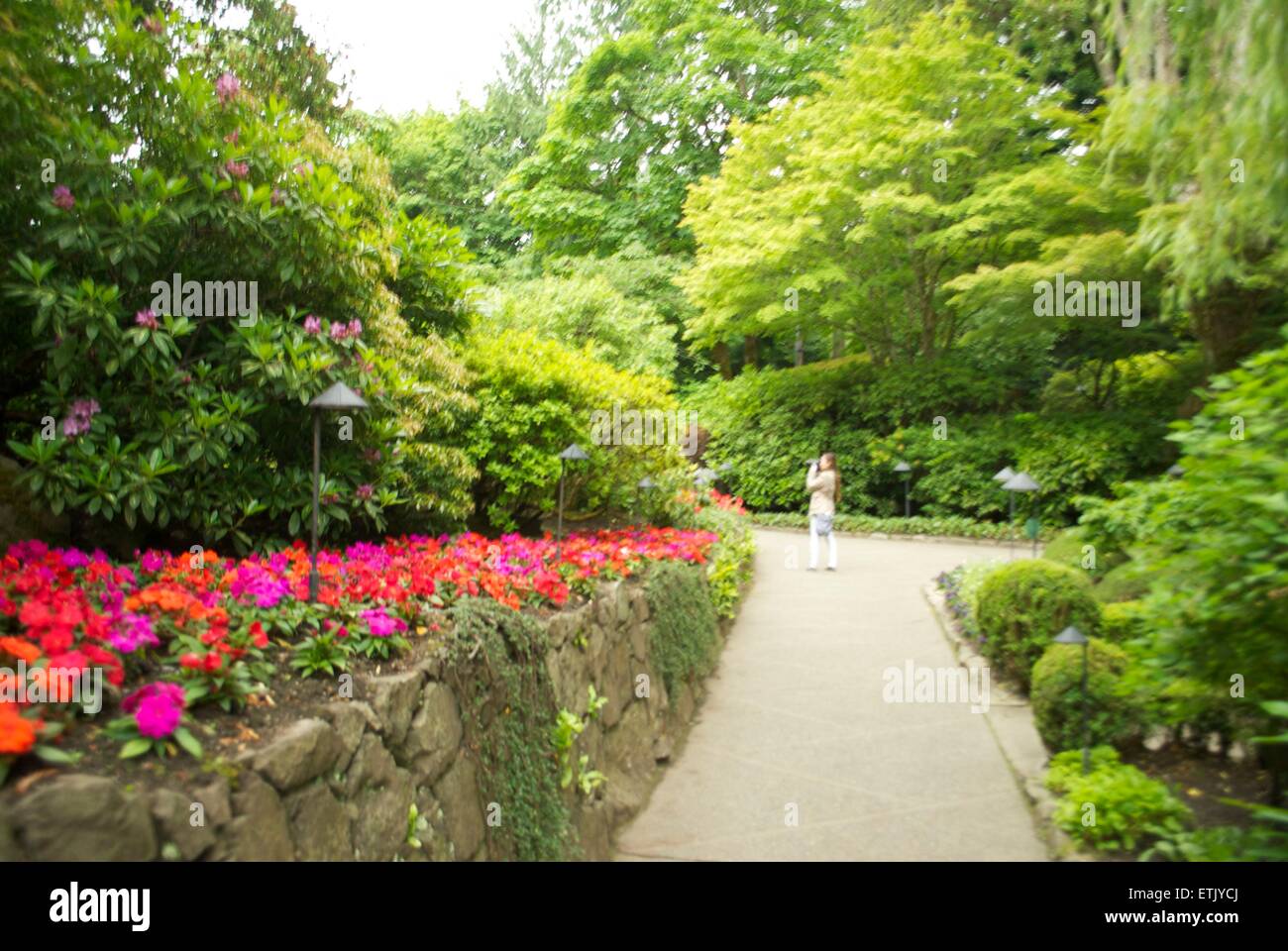Butchart gardens hi-res stock photography and images - Alamy