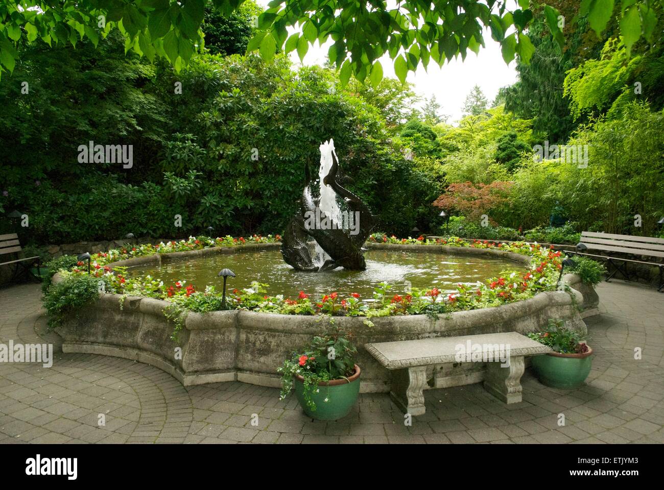 Fish fountain hi-res stock photography and images - Alamy