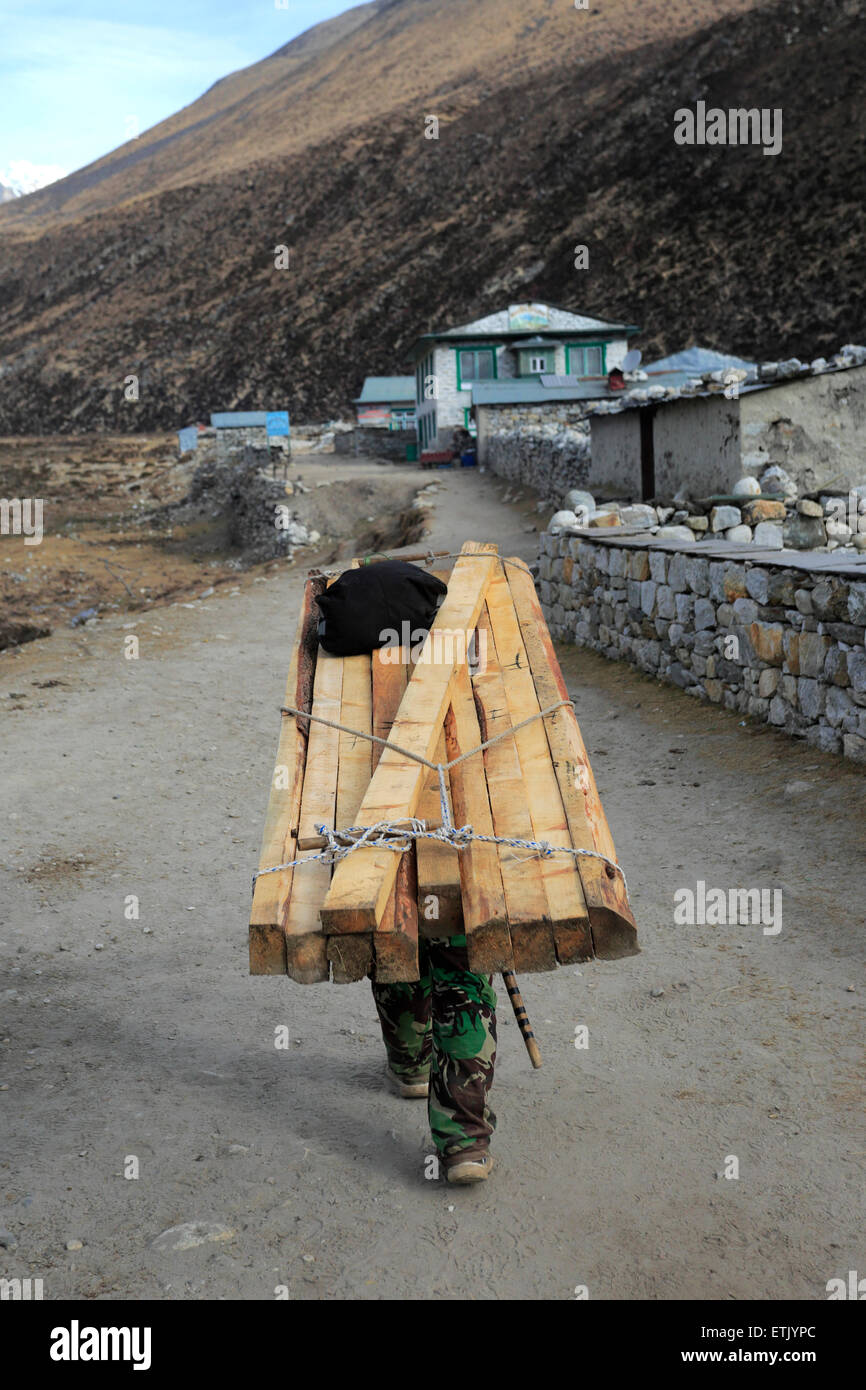 Nepalese Sherpa carrying a load of wood at Pheriche village, Everest ...
