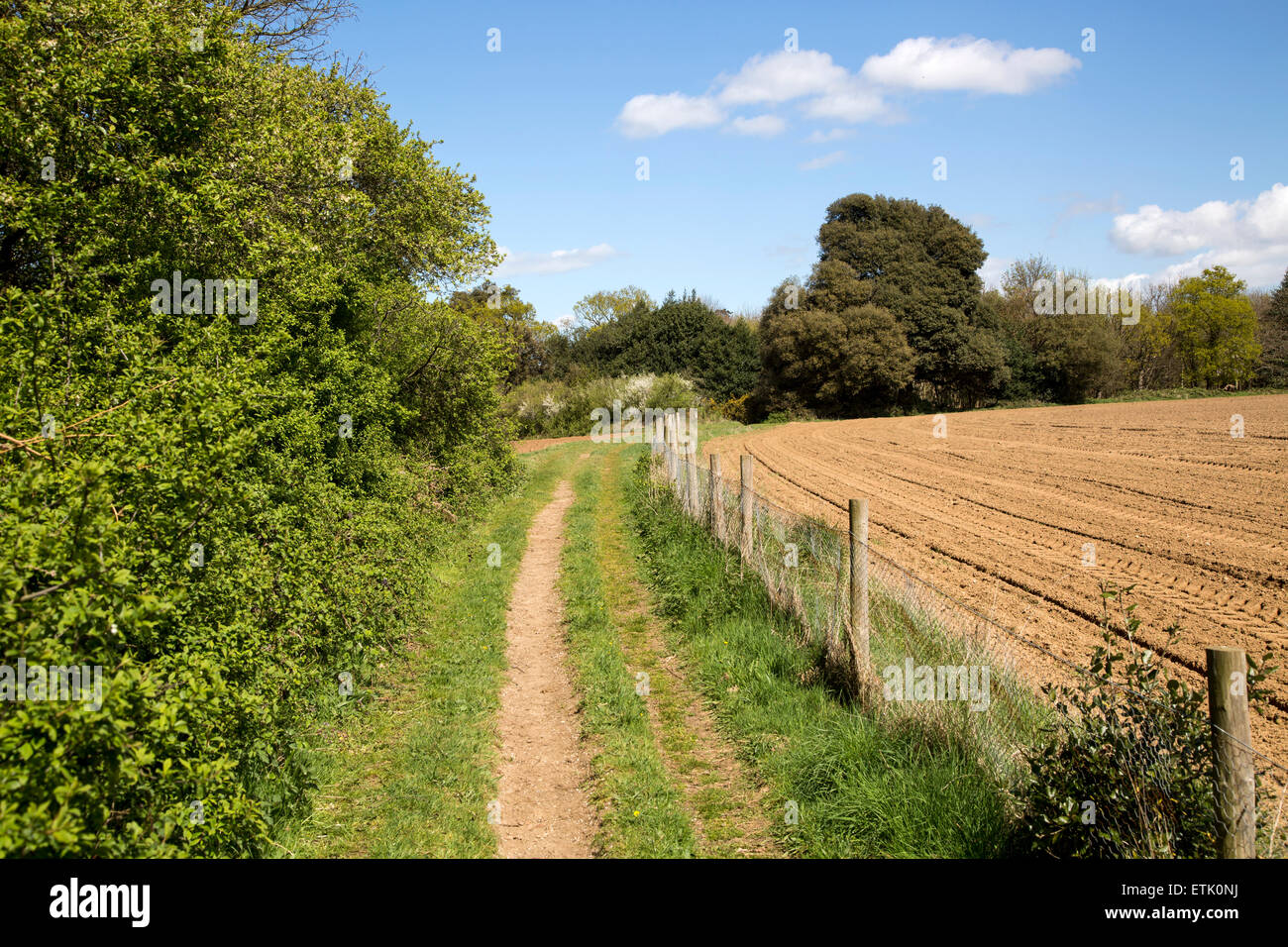 Country path hi-res stock photography and images - Alamy