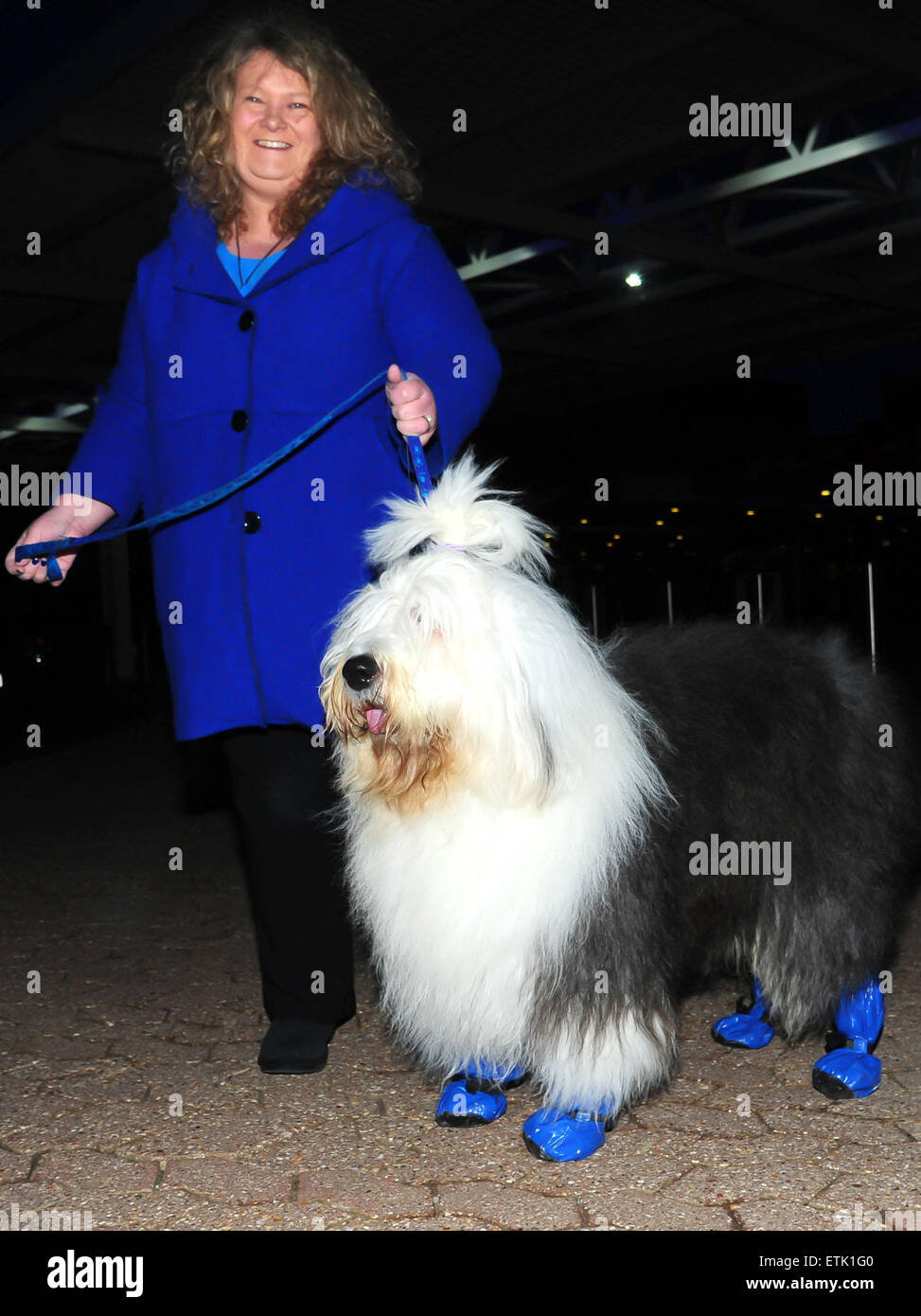Crufts held at the Birmingham NEC - Day 2 Where: Birmingham, United ...