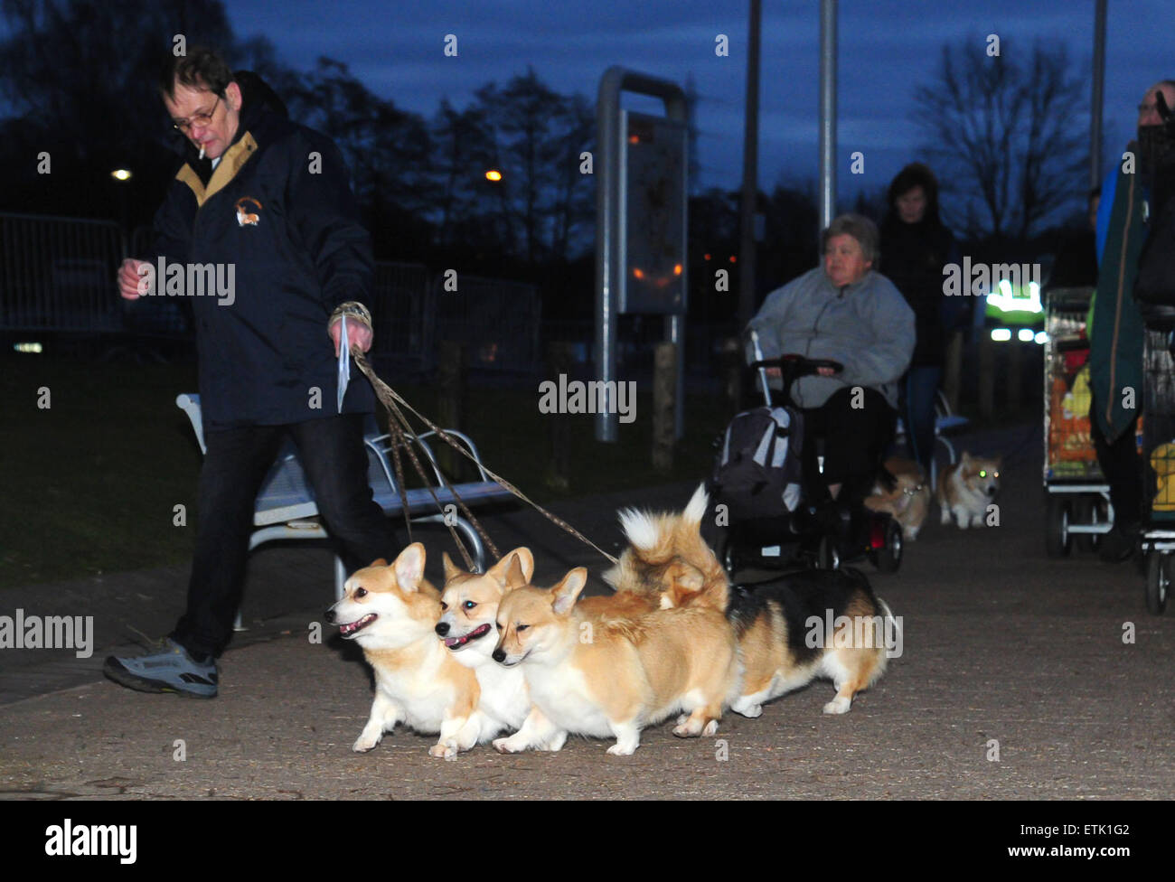 Crufts held at the Birmingham NEC - Day 2 Where: Birmingham, United ...