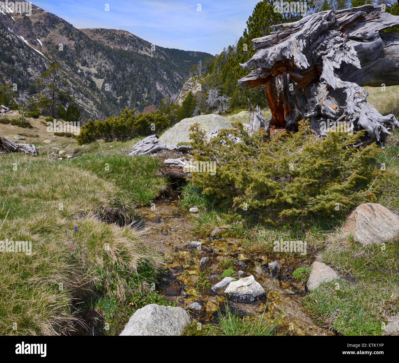 Valley slope hi-res stock photography and images - Alamy