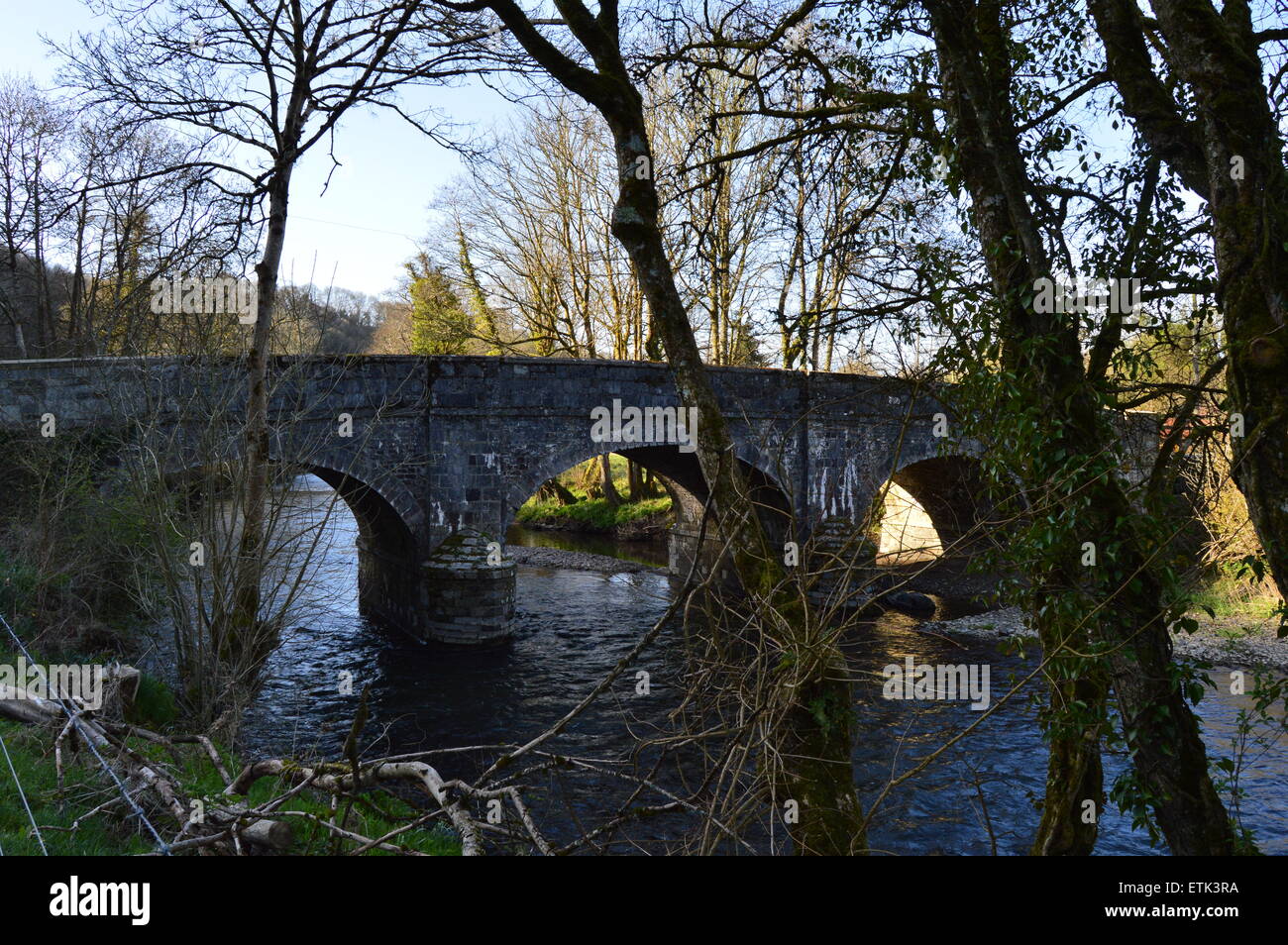 Bridge over river surrounded by trees Stock Photo - Alamy