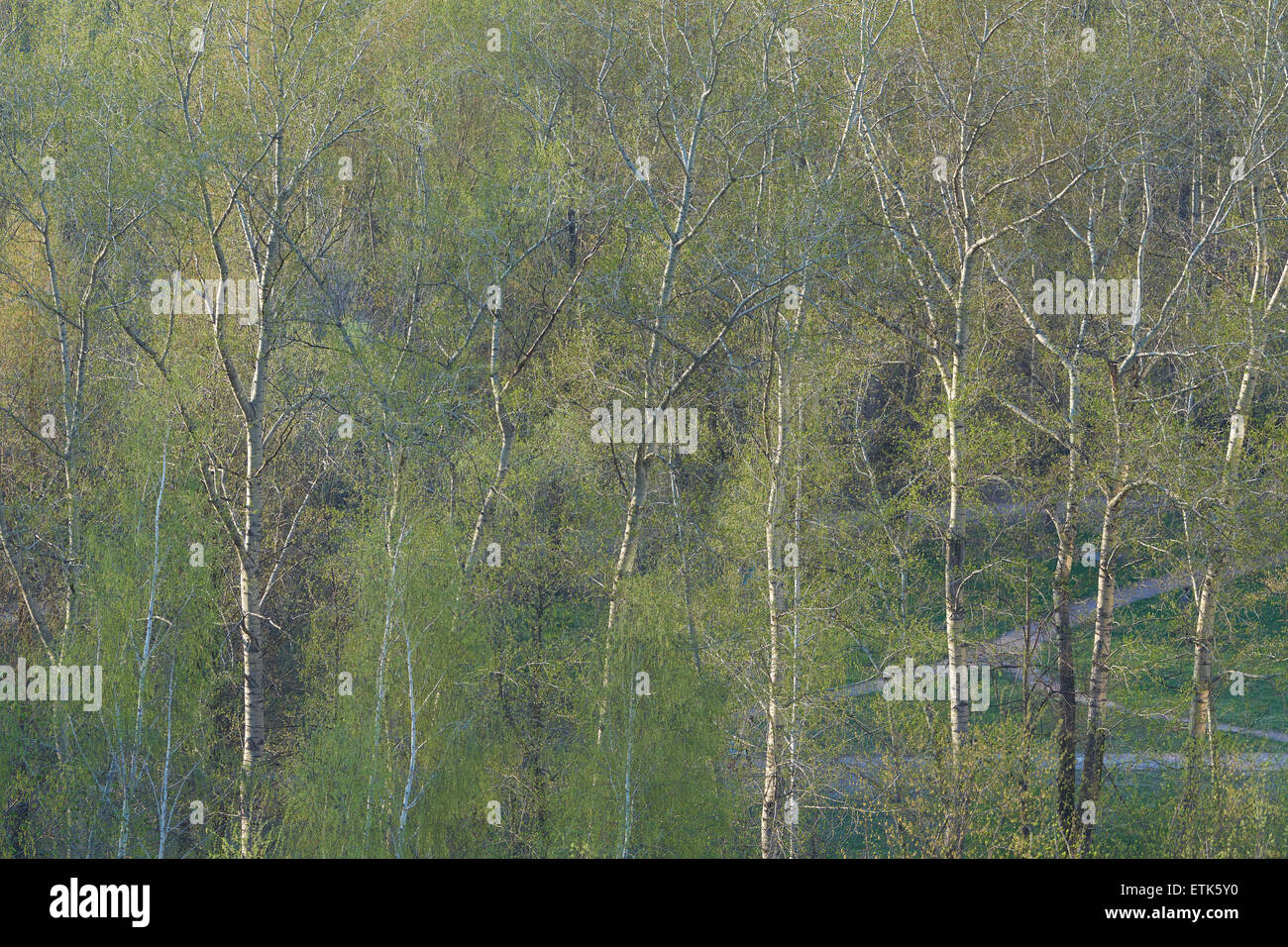 Season end month hi-res stock photography and images - Alamy