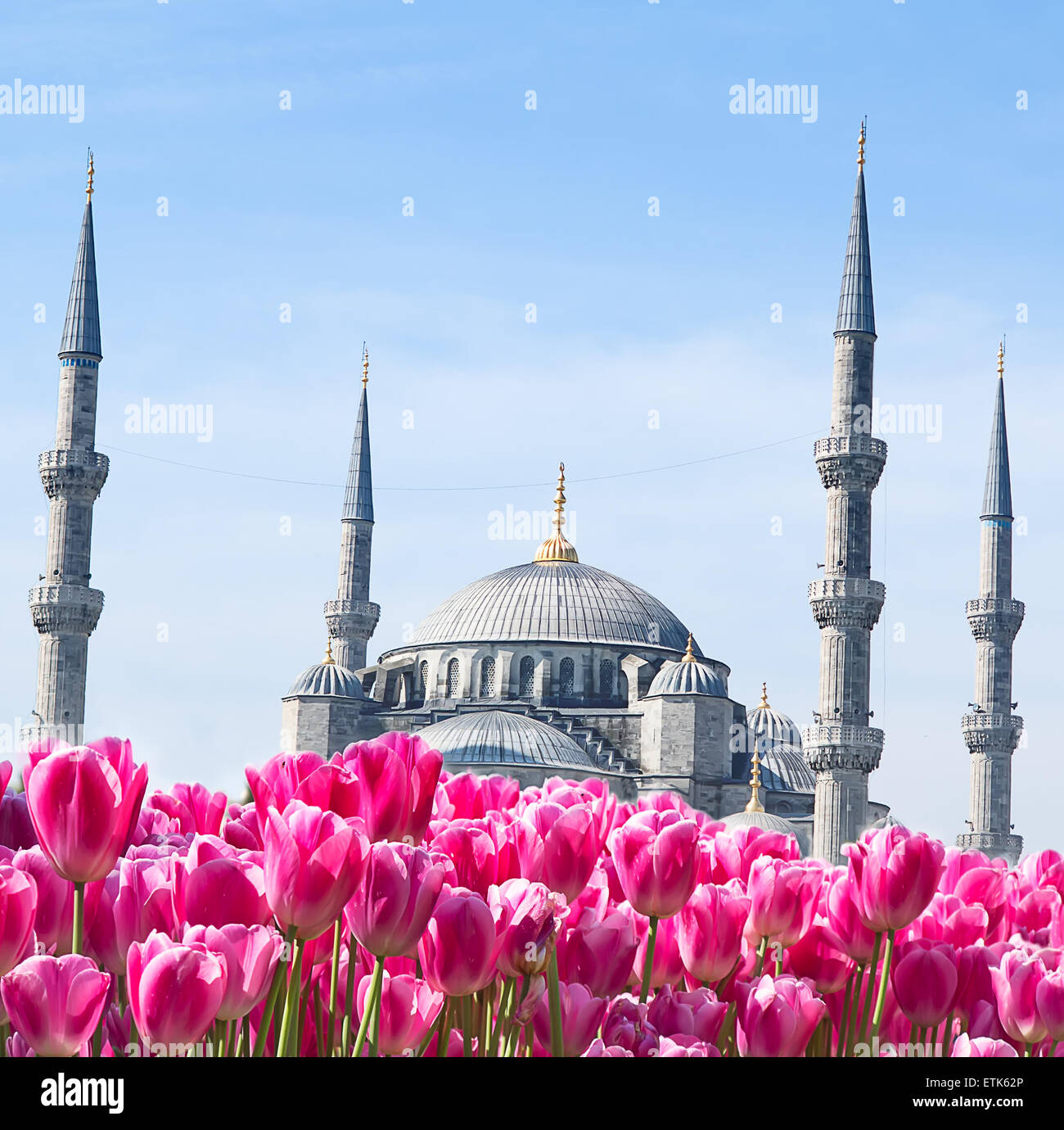 Famous "Blue mosque" in Istanbul, Turkey Stock Photo - Alamy