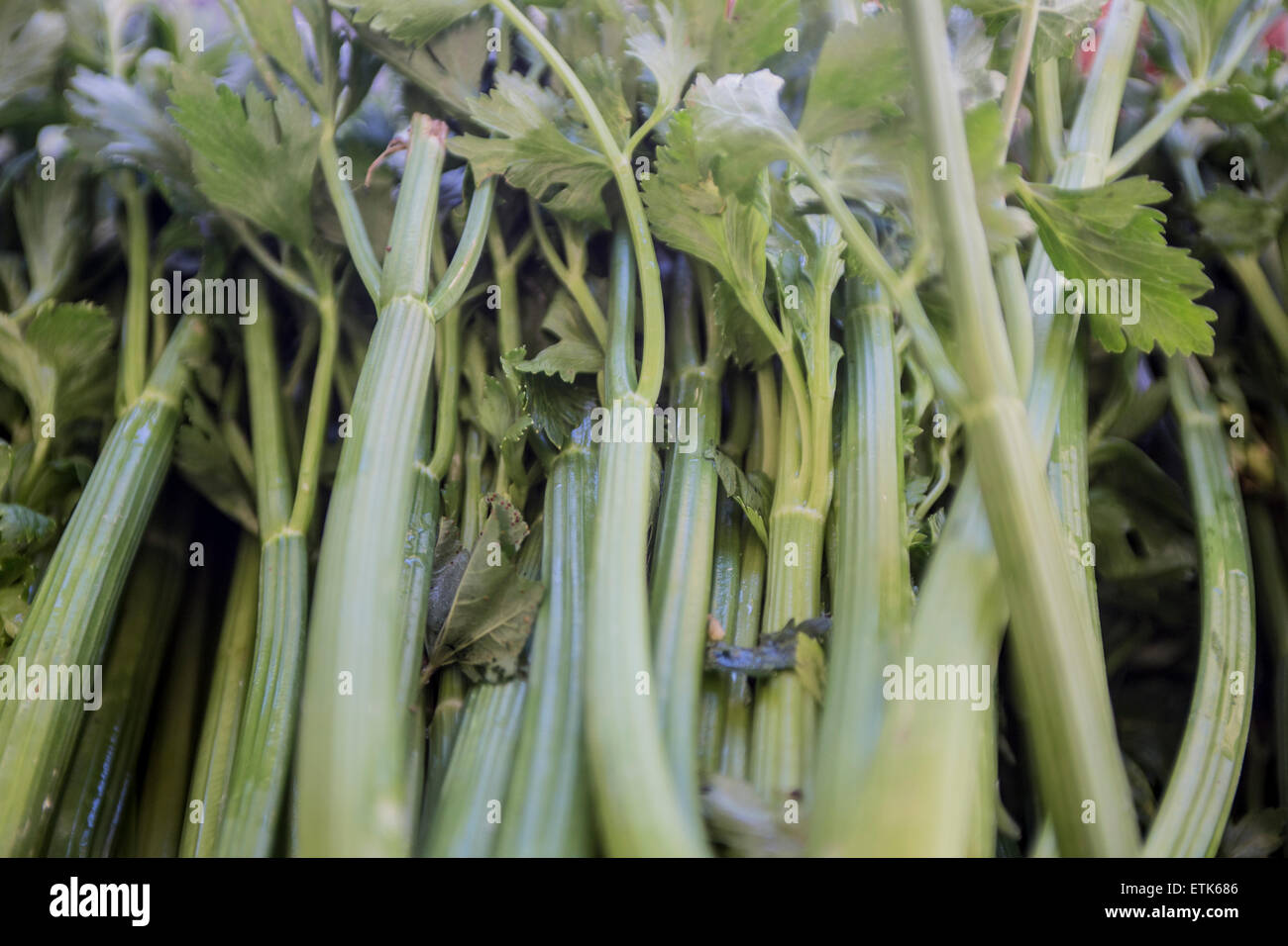 Crunch bunch hi-res stock photography and images - Alamy