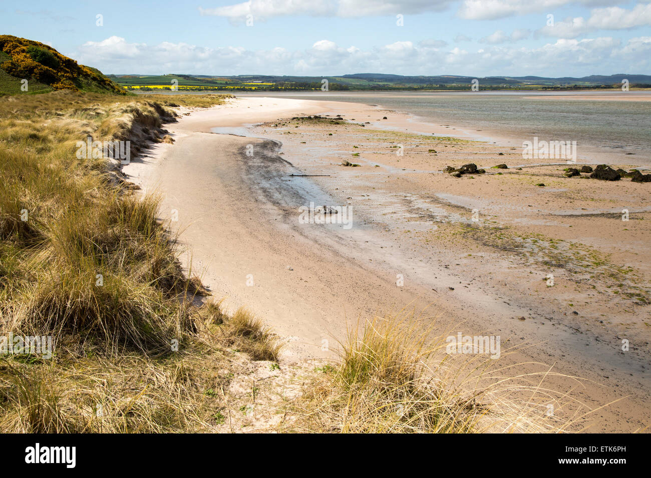 Budle Bay High Resolution Stock Photography and Images - Alamy