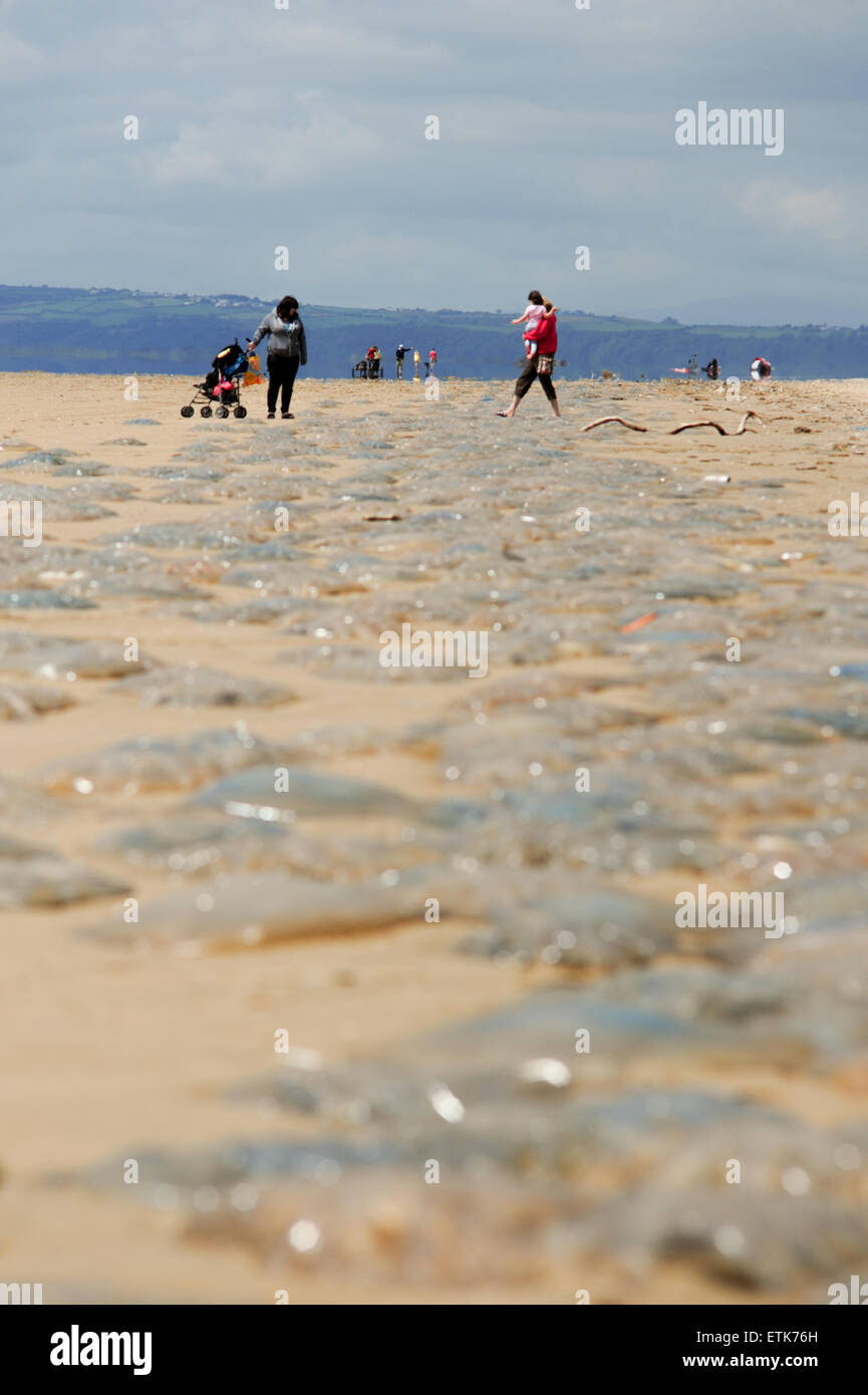 Cefn sidan beach wales hi-res stock photography and images - Alamy