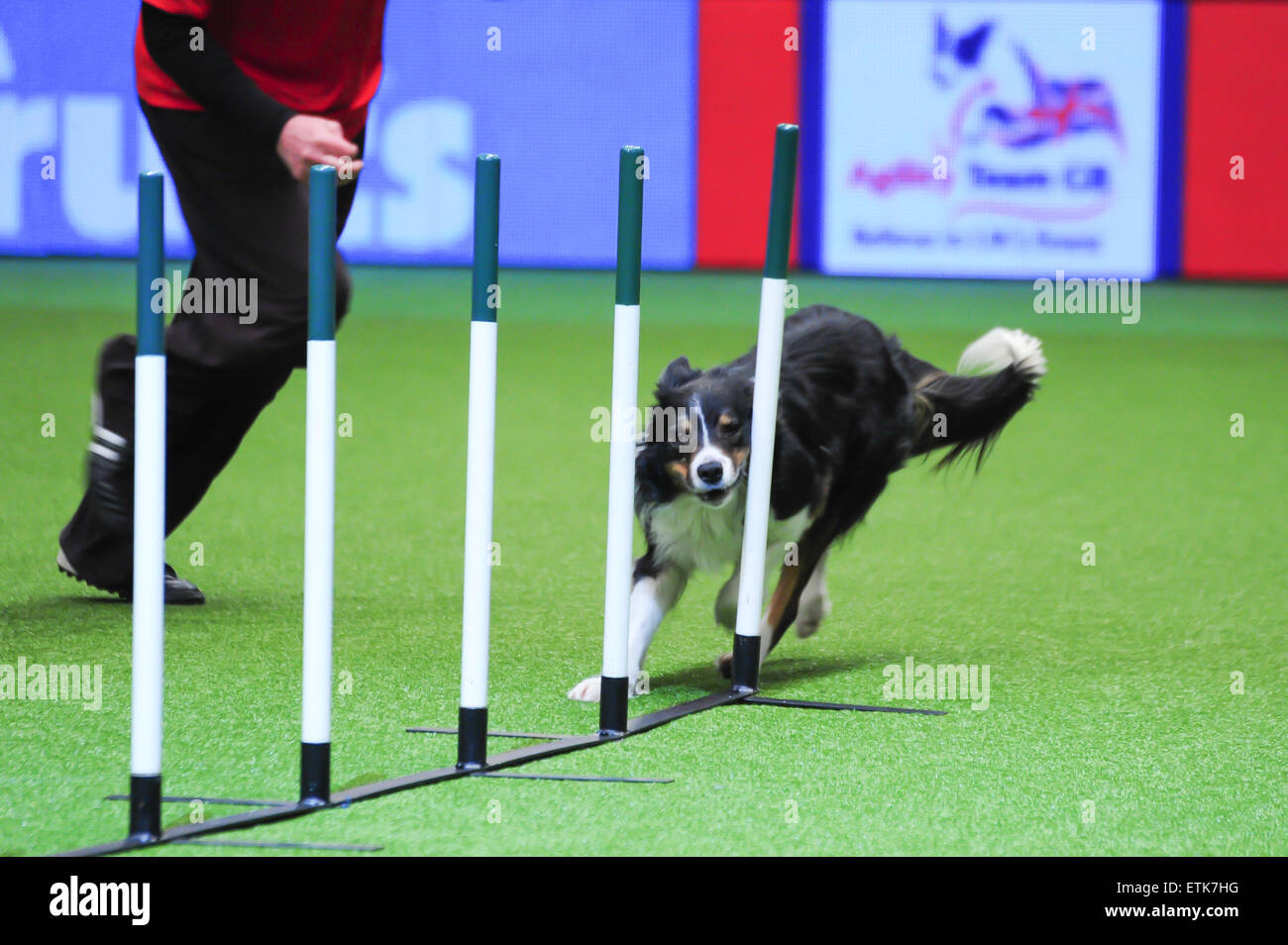 Agility International Invitation Final Featuring: Stuart Harmes ...