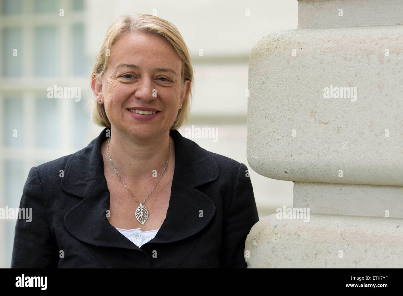Leader of the Green Party in England and Wales Natalie Bennett Stock ...