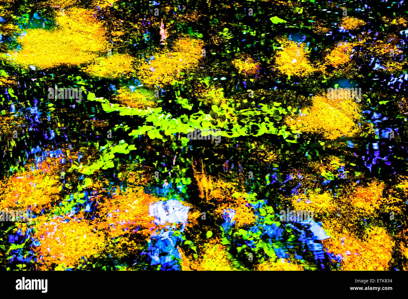 Abstract image of vivid reflections dancing and shimmering in a ...