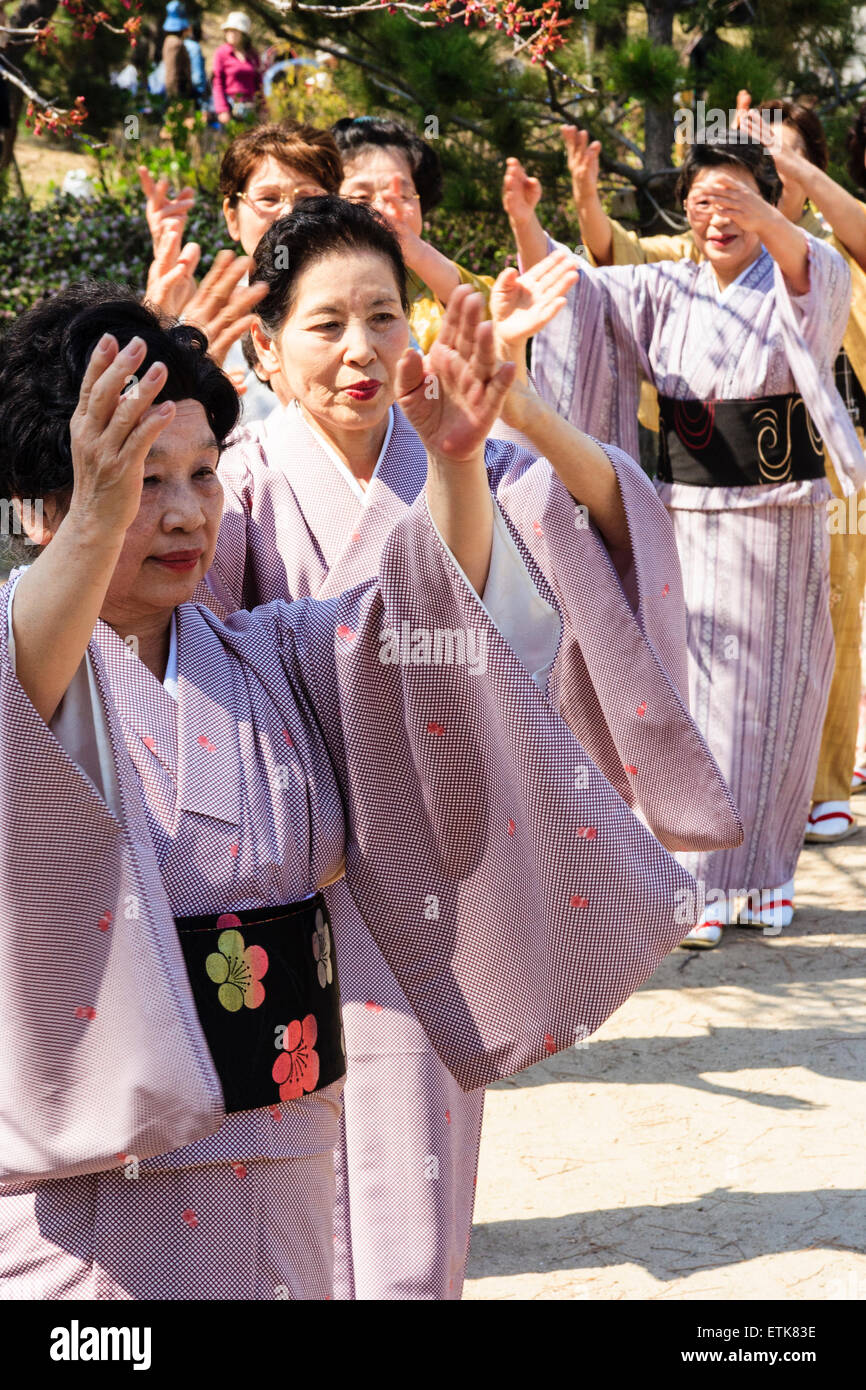 Close up of senior women dressed in kimonos dancing a springtime cherry ...