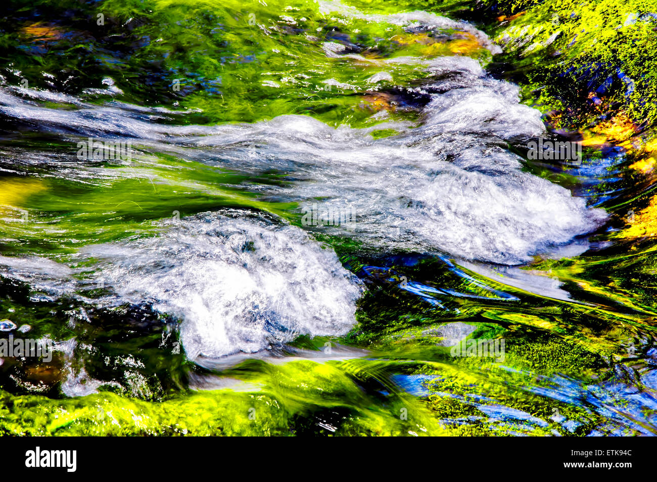 Forest stream flowing over green mossy rocks, taken using a slow ...