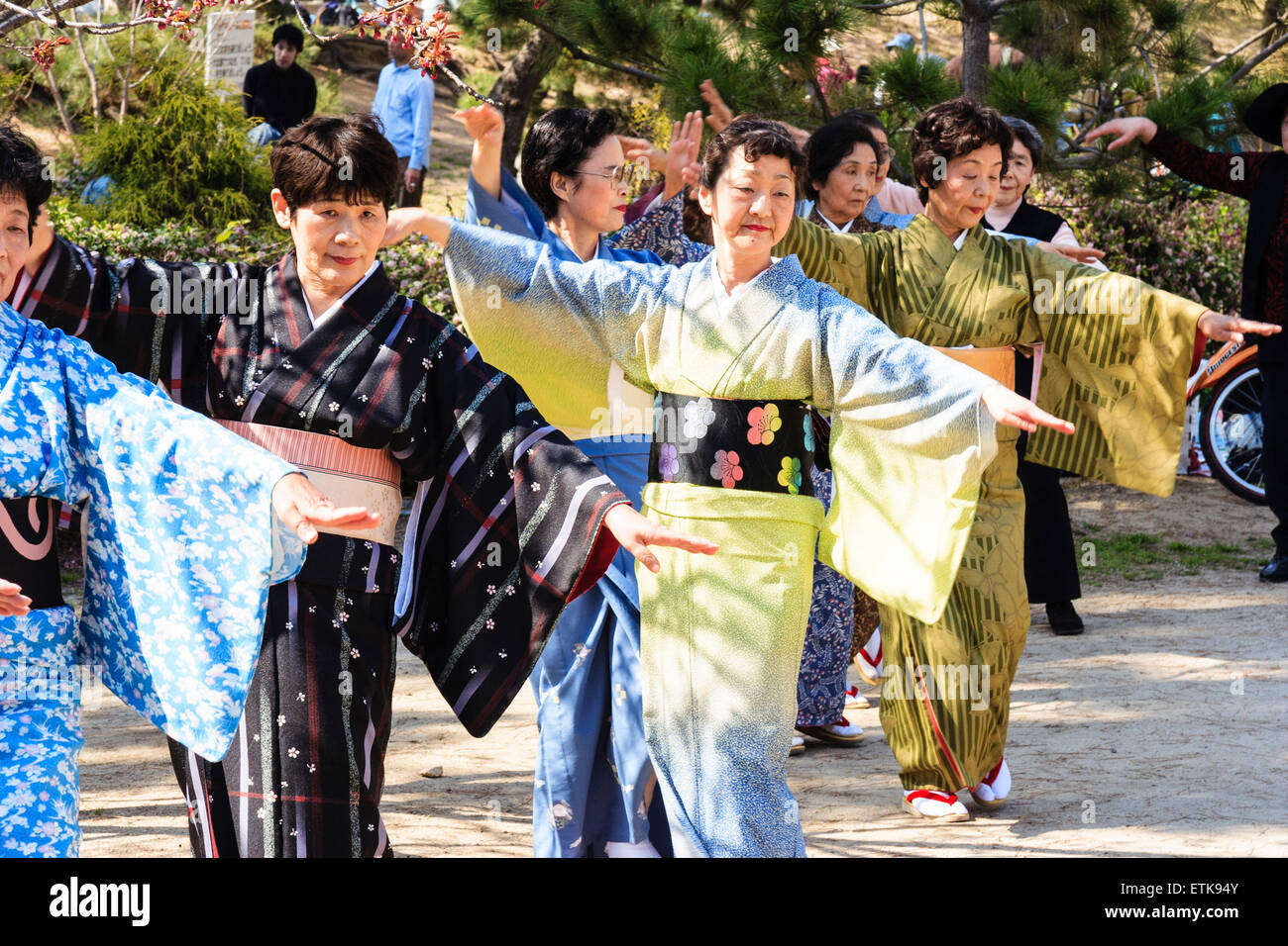Close up of senior women dressed in kimonos dancing a springtime cherry ...