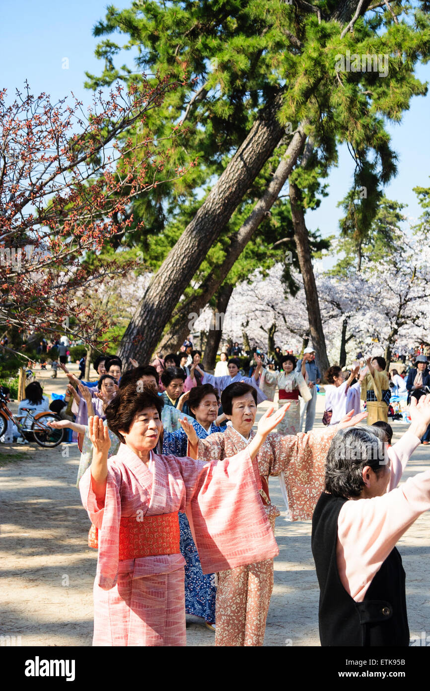 Senior women dressed in kimonos dancing a springtime cherry blossom ...